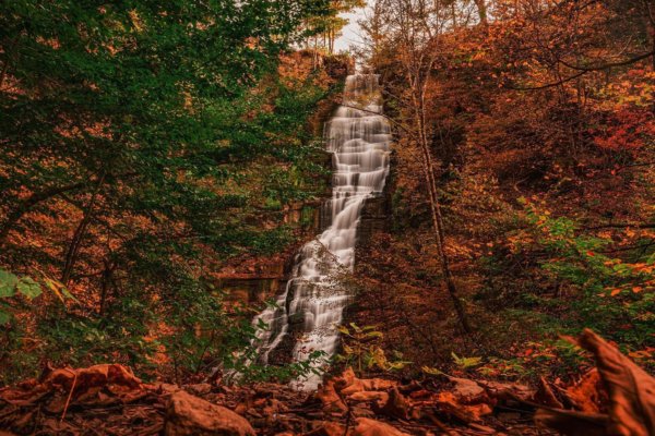 Onondaga County Real Estate | Dylan Wise, Licensed Real Estate Salesperson