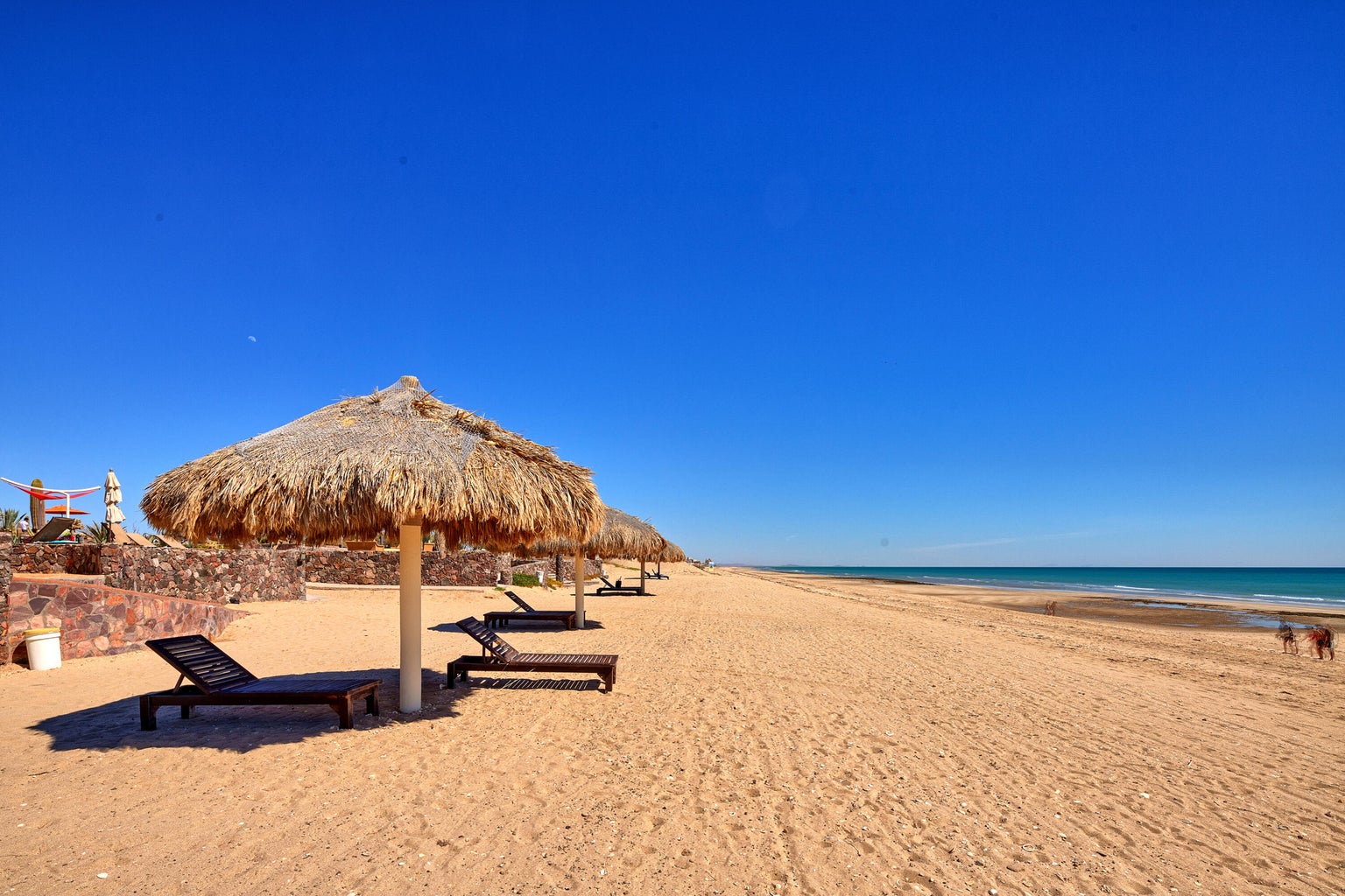 Playa Miramar Homes For Sale | John Walz