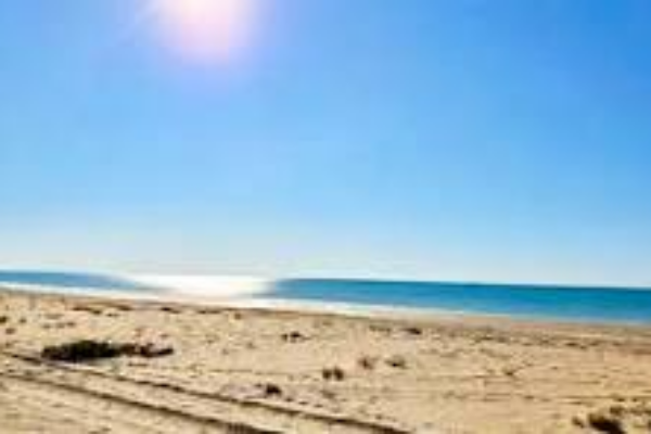 RE/MAX LEGACY ROCKY POINT | Myra and Paul DeRoo