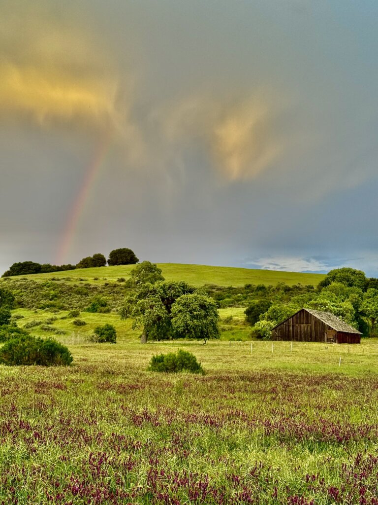 Featured Communities | Candice Signa