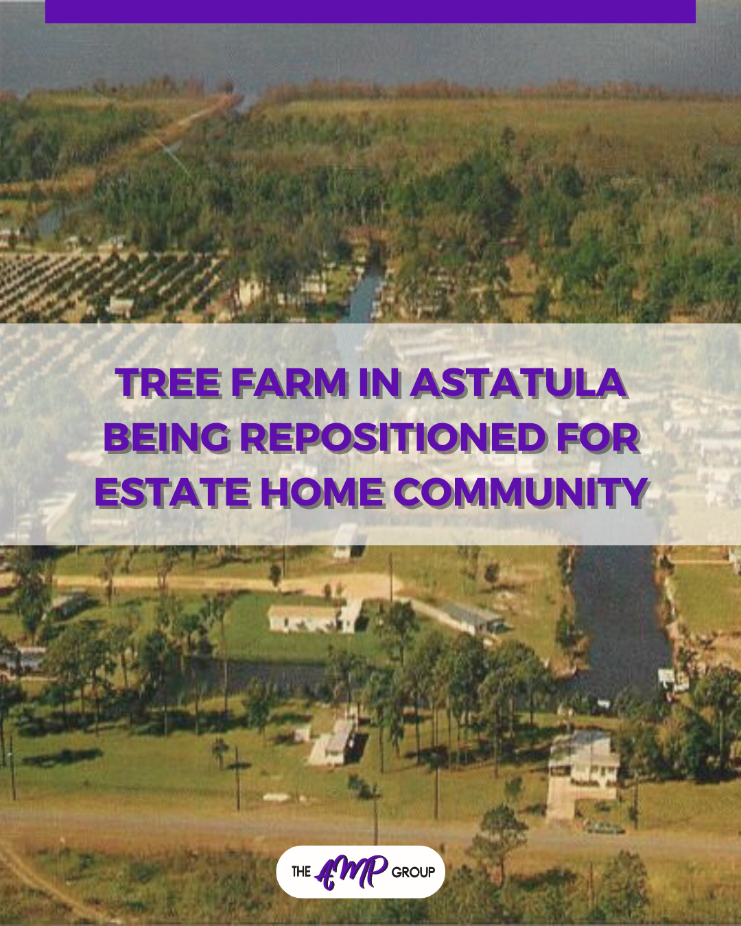 Tree farm in Astatula being repositioned for estate home community ...