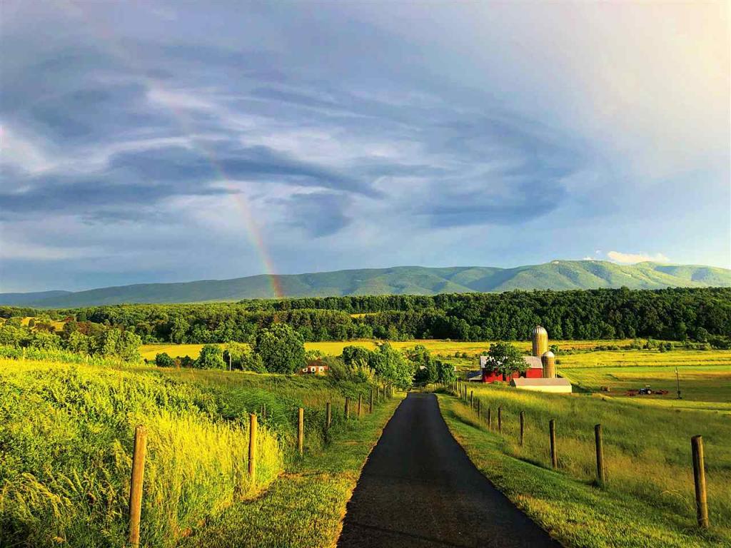 Stuarts Draft | Chris Dillow