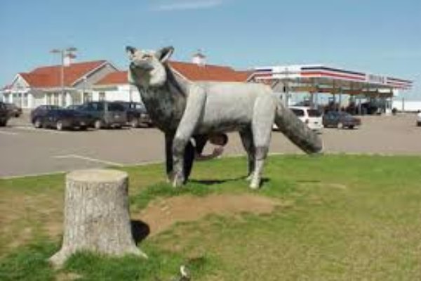 Team of professionals working for you! | Evolve Real Estate Team